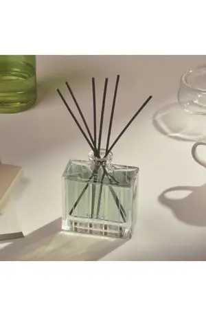 NEST NEW YORK Wild Mint & Eucalyptus Reed Diffuser - No Color