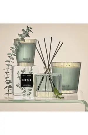 NEST NEW YORK Wild Mint & Eucalyptus Reed Diffuser - No Color