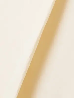 Stella McCartney Balloon Pleated Wide-leg Pants