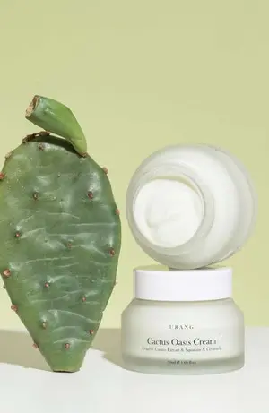 URANG Cactus Oasis Cream - None