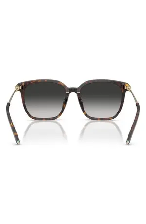 Tiffany & Co. 56mm Gradient Square Sunglasses - Havana/grey Gradient