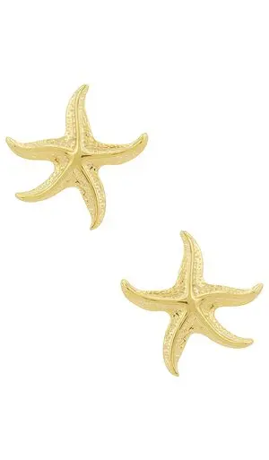 PETIT MOMENTS Starfish Stud Earrings - Gold