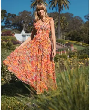 Mac Duggal Floral Mesh Ruffle V-neck Ankle Dress