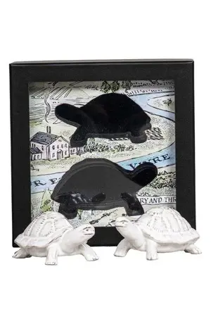 JULISKA Clever Creatures Turtle Salt & Pepper Shakers Set