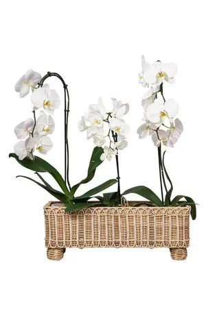 JULISKA Provence Rattan Rectangular Planter