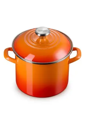 LE CREUSET 6-quart Enameled Stainless Steel Stock Pot - Flame