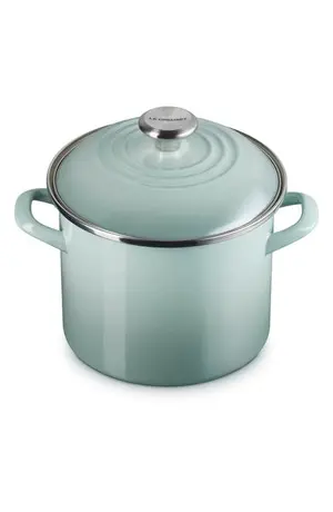 LE CREUSET 6-quart Enameled Stainless Steel Stock Pot - Sea Salt