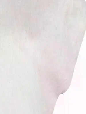 Calvin Klein Crewneck Top