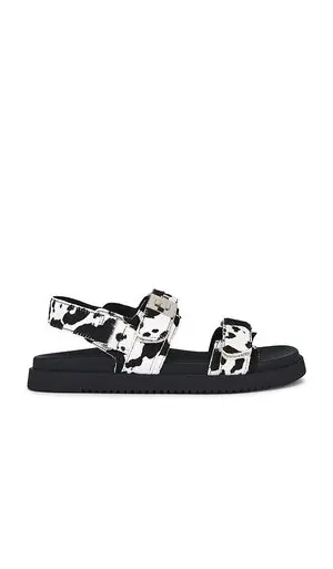 Steve Madden Logo Sandals For Women