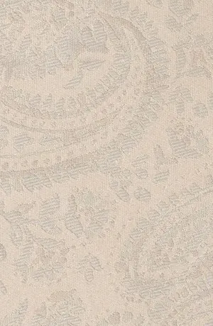CUFFLINKS, INC. Paisley Silk Jacquard Neck Tie