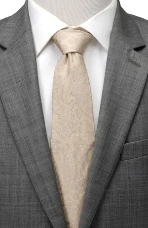 CUFFLINKS, INC. Paisley Silk Jacquard Neck Tie