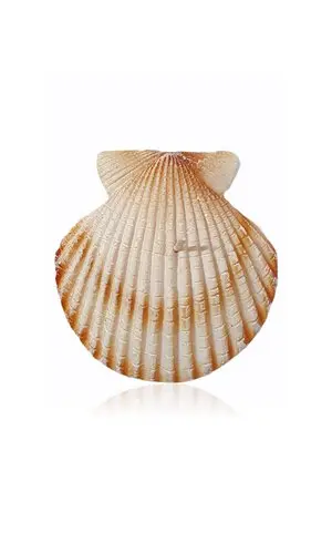 MODA DOMUS Riviera Scallop Shell Candle - Multi