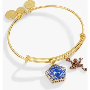 Alex And Ani Gold Bracelets
