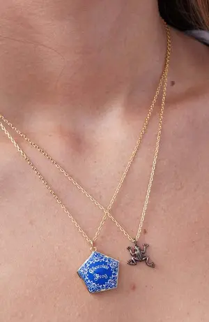 ALEX AND ANI Harry Potter Chocolate Frog Necklace Set