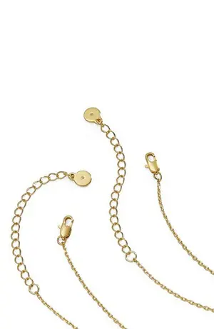 ALEX AND ANI Harry Potter Chocolate Frog Necklace Set