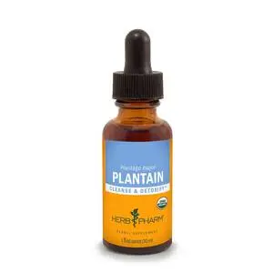 HERB PHARM Plantain