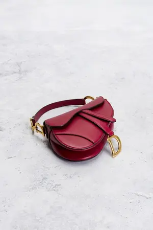 Dior Mini Saddle Bag