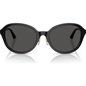 JIMMY CHOO 54mm Phantos Sunglasses Black/dark Grey