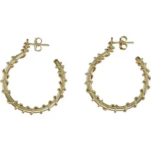 ALBISIA Spina Hoop Earrings - 14k Gold Filled