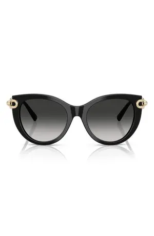 Tiffany & Co. Hardwear Butterfly Sunglasses - Black /gray Gradient