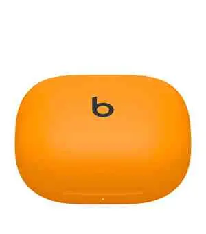 BEATS BY DR. DRE Powerbeats Pro 2 Earbuds - Orange