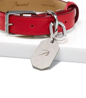 THE MARTHA, BY BACCARAT Leather Louxor Pet Collar