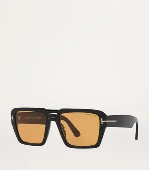 TOM FORD Acetate Sunglasses
