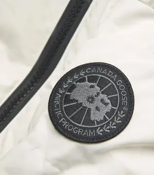 Canada Goose Down Chelsea Parka Coat