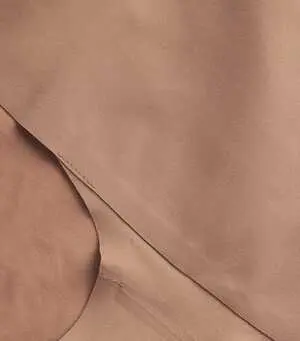Spanx Undie-tectable Briefs