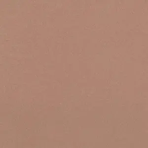 Spanx Undie-tectable Briefs