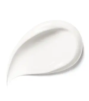 Dior Capture Day Creme - Silver