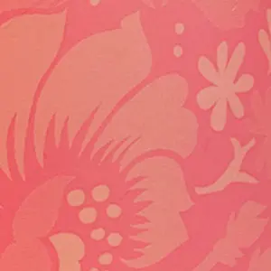 SOAK Celebration Laundry Soap