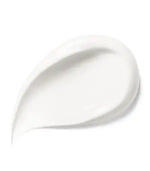 Dior Capture Day Creme Refill - Silver