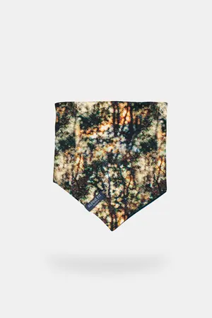 ALPINE FIT Mountain V Merino Wool Neck Warmer Tree Light