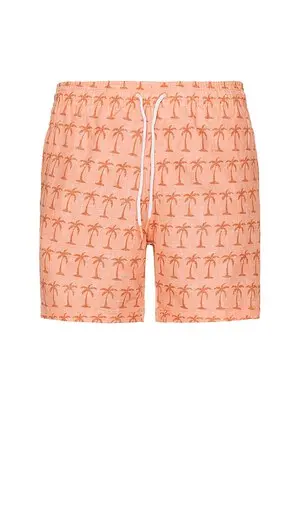 Trunks Surf & Co. Swim Shorts