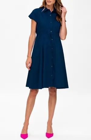 PIETRO BRUNELLI Button-down Maternity Shirtdress - Blue