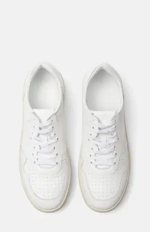 SCAROSSO Alex Low-top Sneakers