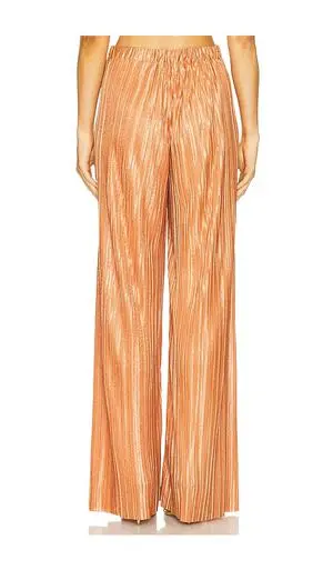 SABINA MUSAYEV Rainy Plisse Pants