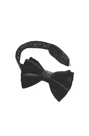CHARLES TYRWHITT Velvet Bow Tie