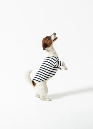 Saint James Striped Breton Shirt For Dog