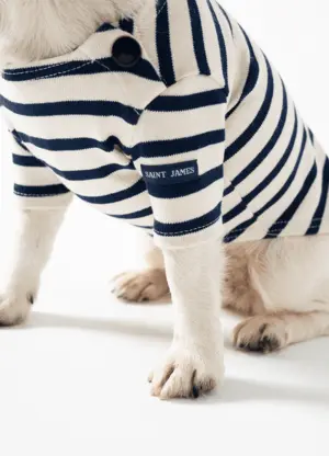 Saint James Striped Breton Shirt For Dog