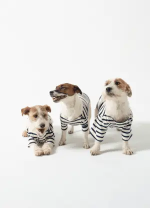 Saint James Striped Breton Shirt For Dog
