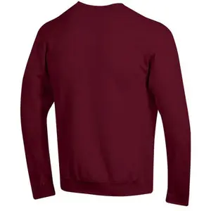 Champion Harvard Arch Over Logo Pullover Sweatshirt