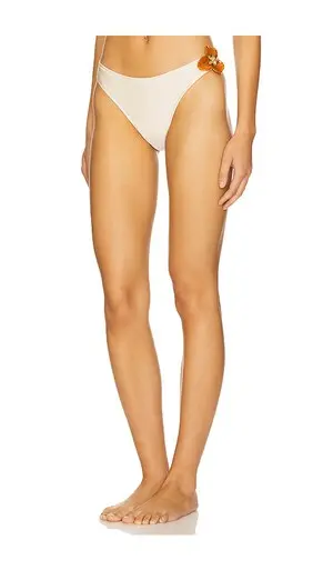 SHANI SHEMER Medea Bikini Bottom - Macademia
