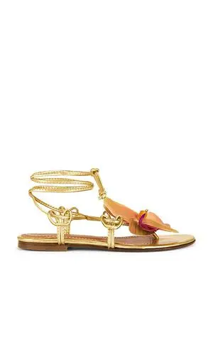 ALAMEDA TURQUESA Victoria Sandal - Gold