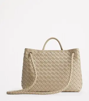 Bottega Veneta Medium Andiamo Shoulder Bag - Neutral