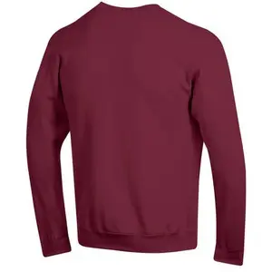 Champion South Carolina Gamecocks Arch Over Logo Pullover Sweatshirt