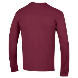 Champion South Carolina Gamecocks Basic Arch Long Sleeve T-shirt