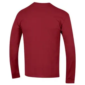 Champion Indiana Hoosiers Basic Arch Long Sleeve T-shirt
