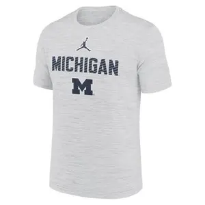 JORDAN BRAND White Michigan Wolverines Campus Slant Velocity Performance T-shirt